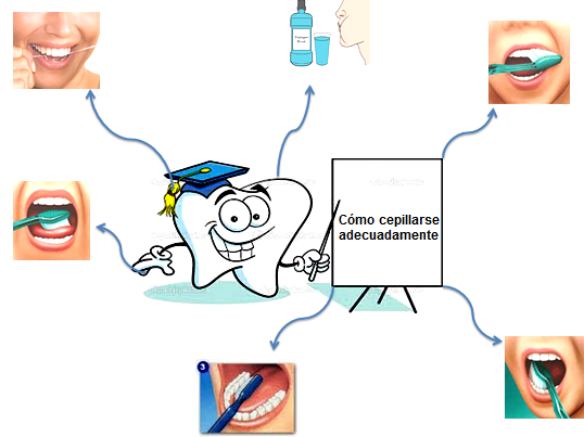 Importancia de la salud bucal: Consejos para enseñar a mantener una ...