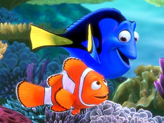 Nemo - Animals Photos