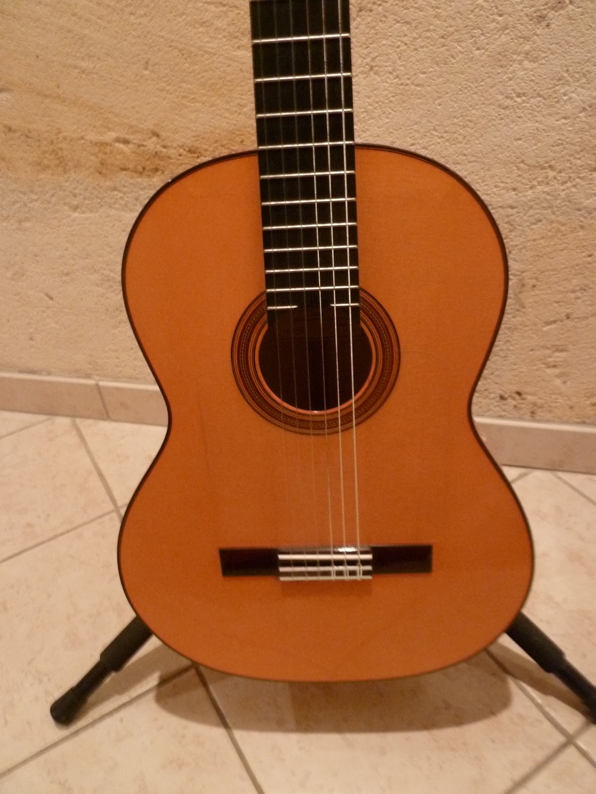sarsi sur un banc: guitare flamenco castellucia modèle FG2 pour gaucher