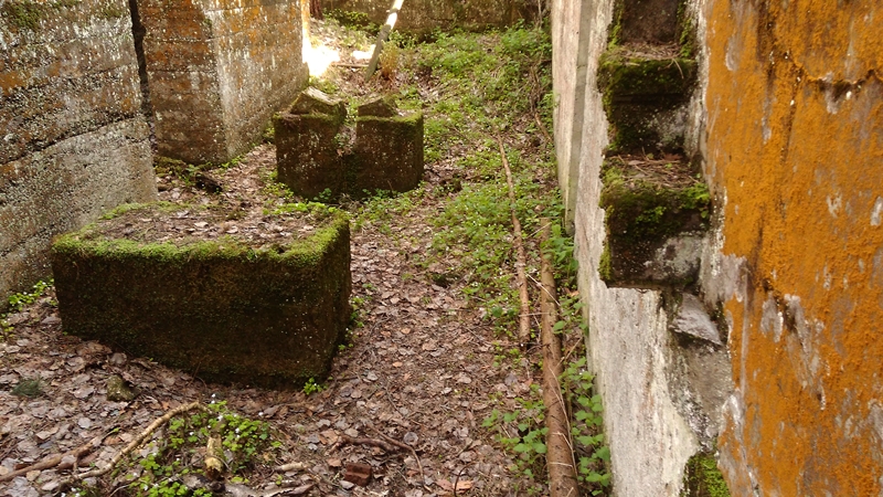 Ostra Góra na piaskowym szlaku