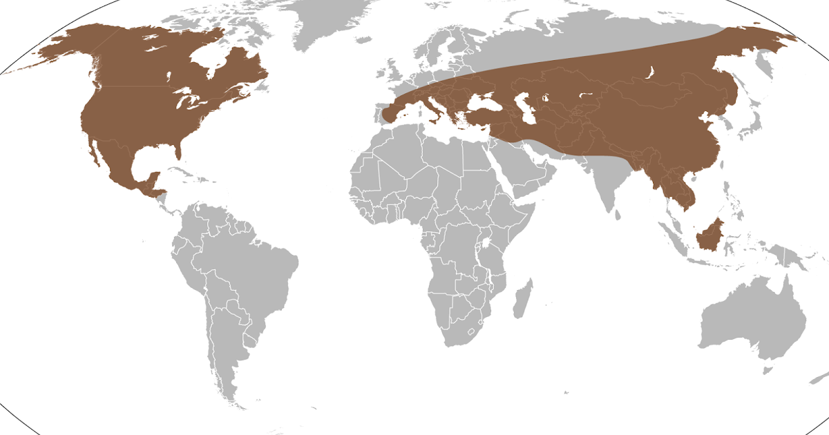 Mastodon Distribution