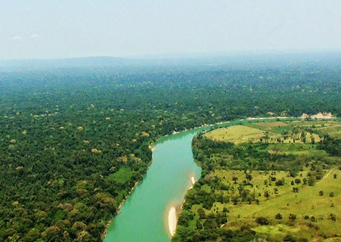 LA MARAVILLOSA SELVA LACANDONA