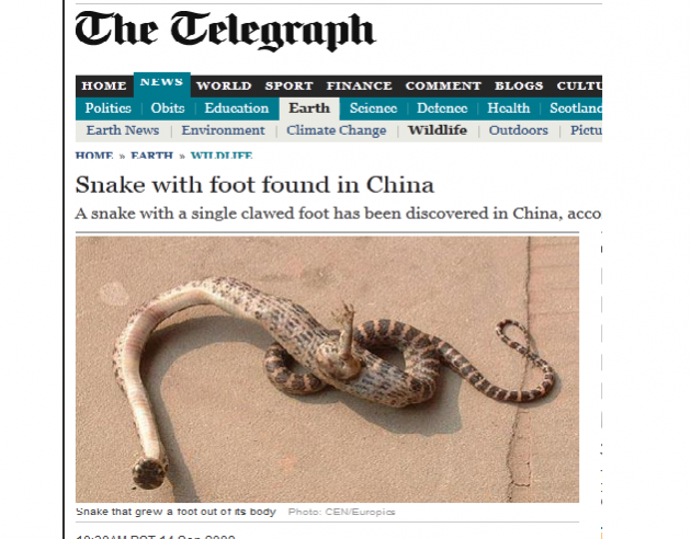 Snakes With Legs Bible 10 Things You May Have Missed In The Book Of ...