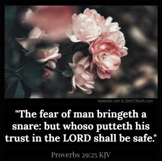 2 Timothy 2:15 Truth: Verse of the Day: Proverbs 29:25 KJV