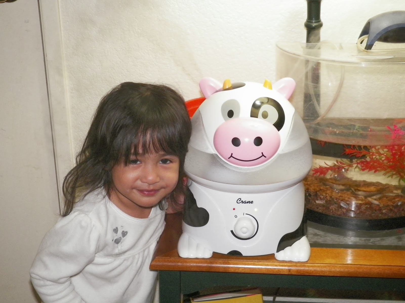 mygreatfinds: Crane "Curtis the Cow" Cool Mist Humidifier Review