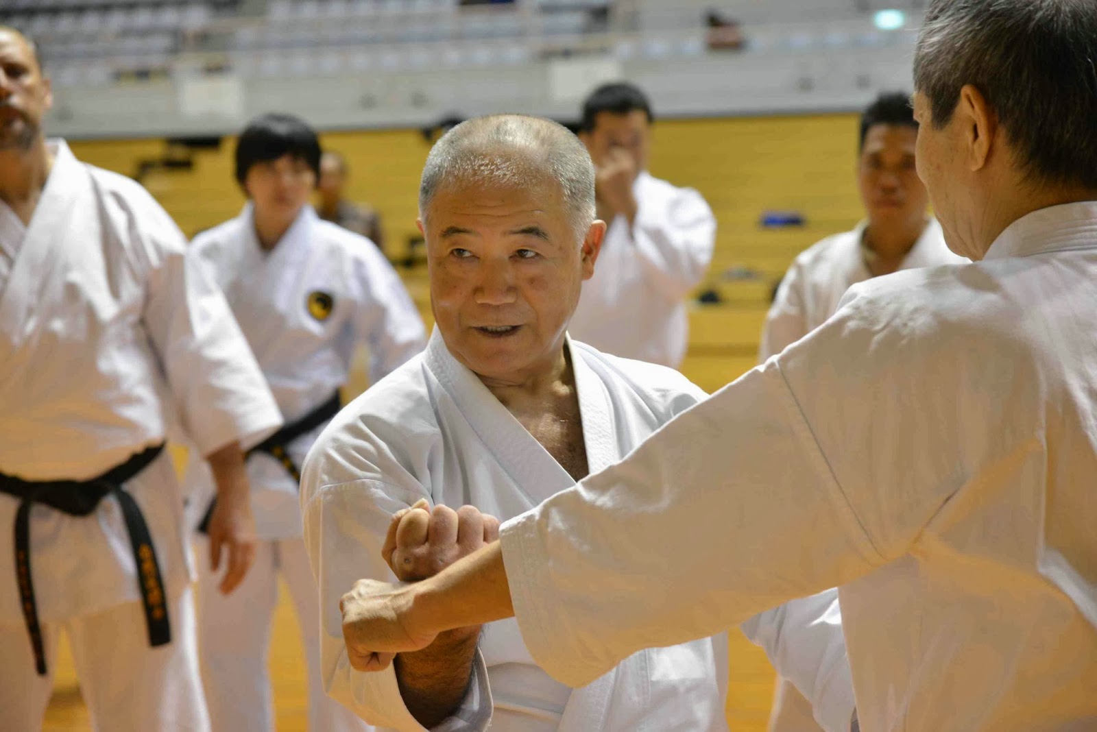 Karate-Do Héctor Gonzalez Ceballos: VIAJE A OKINAWA (PARTE 2)