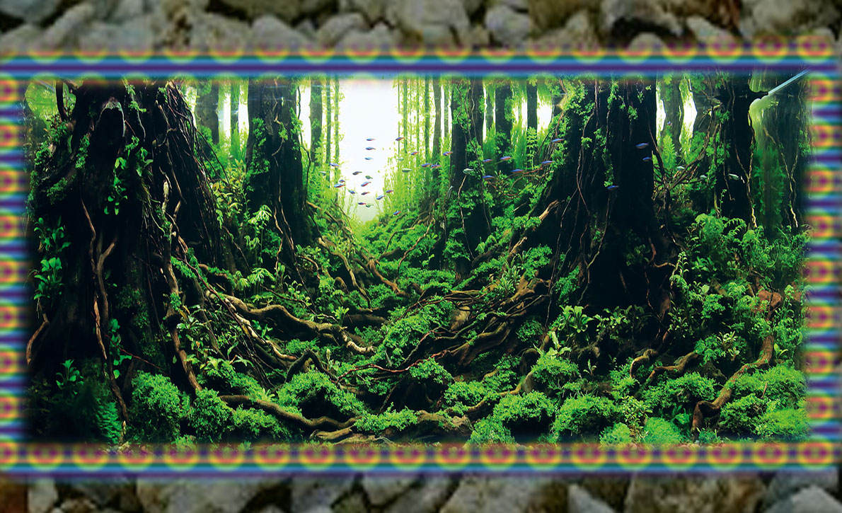 6 Desain Keren Aquascape Tema Hutan | Bagian 1 - Aquascape Design