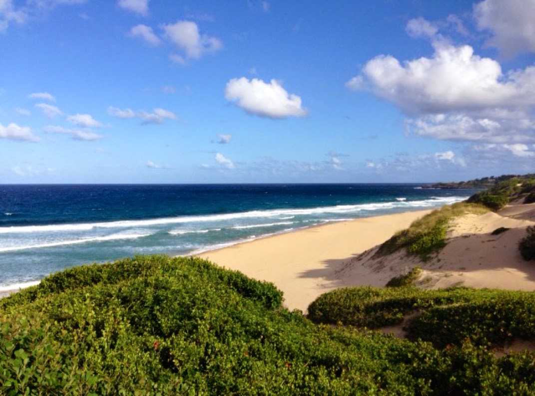 Turismo em Inhambane: Praia de Tofo (Inhambane)