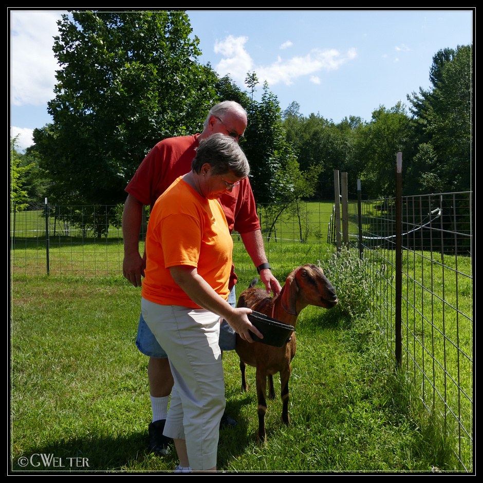 Alabu - Where Goats' Milk, Ingenuity and Family Come Together | Life As ...