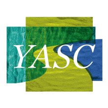 Bom Dia Brasil: Searching in the field for treasure