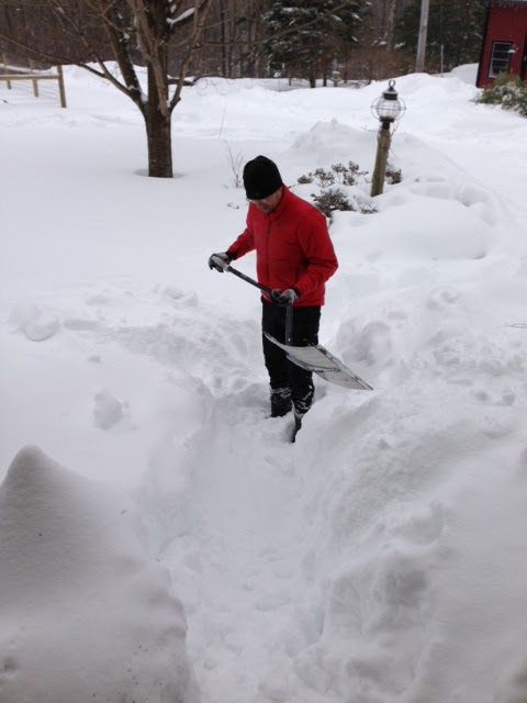 Dispatch from the Digital Health Frontier: So What Does 30 Inches of ...