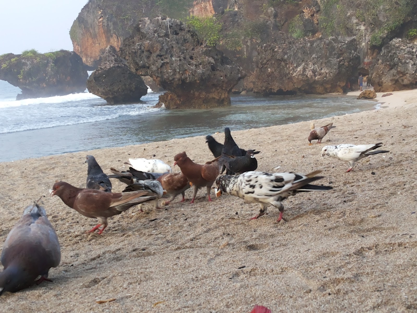 Wow, Karst Gunung Sewu Jadi Geopark Kelas Dunia! - AFIFAHAFRA.COM