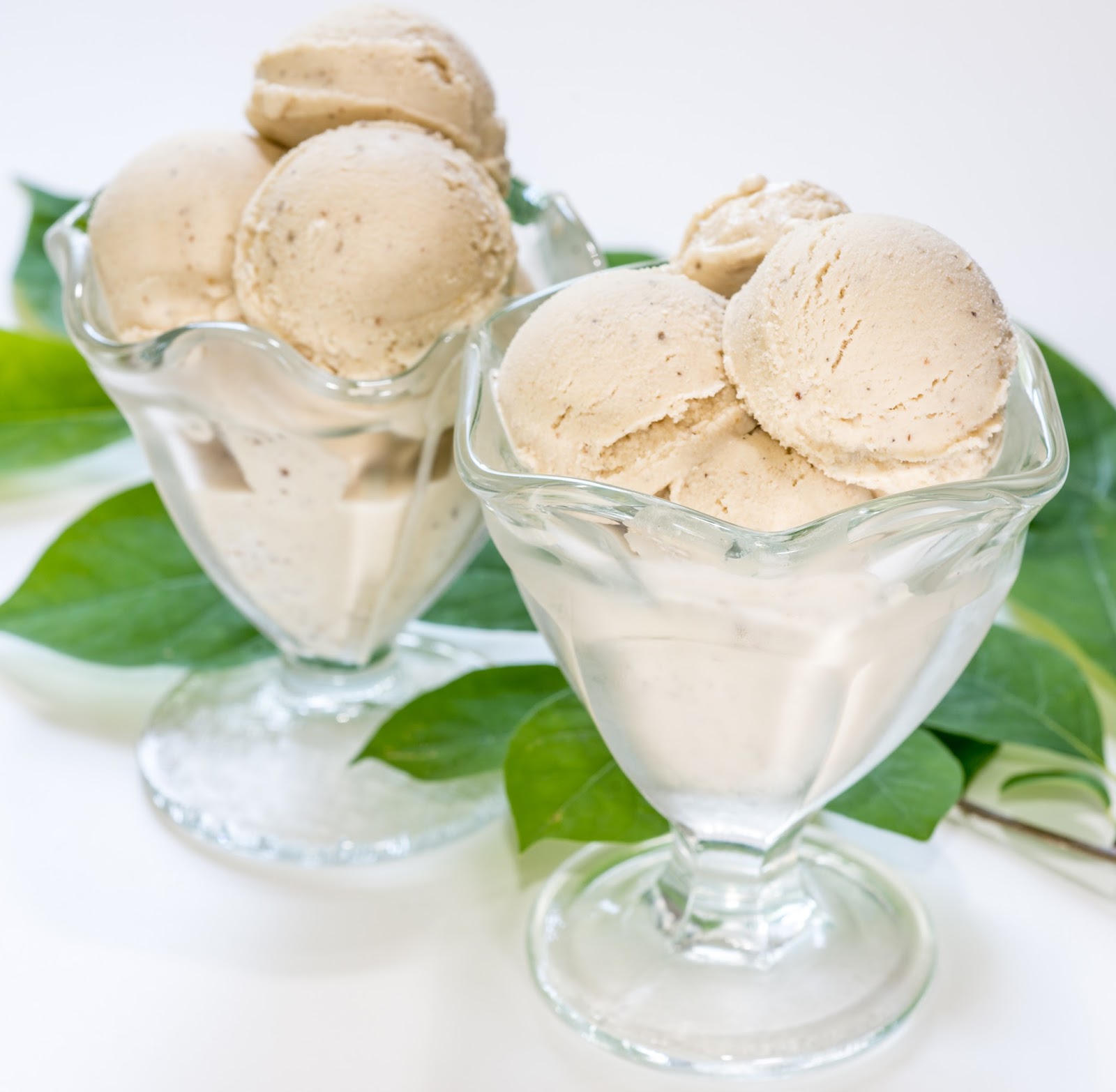 The 3 Foragers: Foraging for Wild, Natural, Organic Food: Acorn and ...