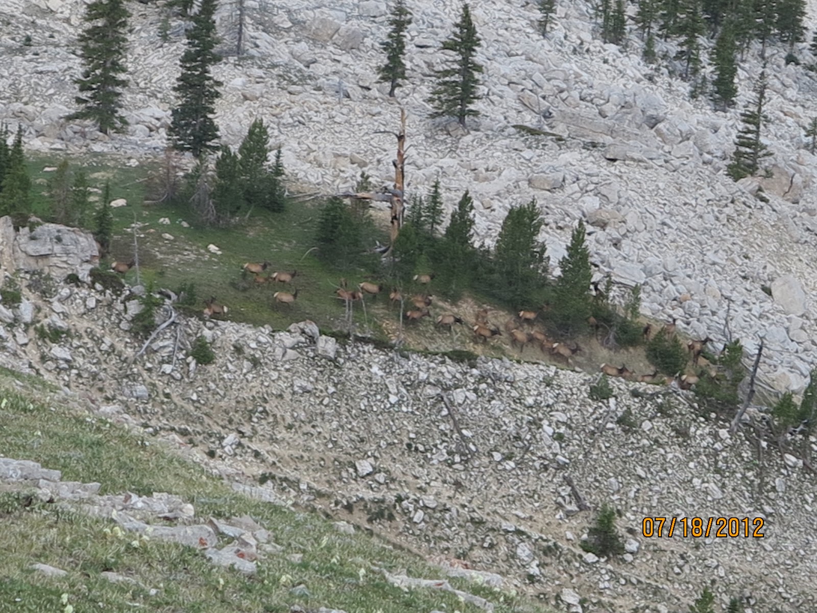 Argentina and Beyond: POLLEY'S PERCH (Prairie Reef Lookout)
