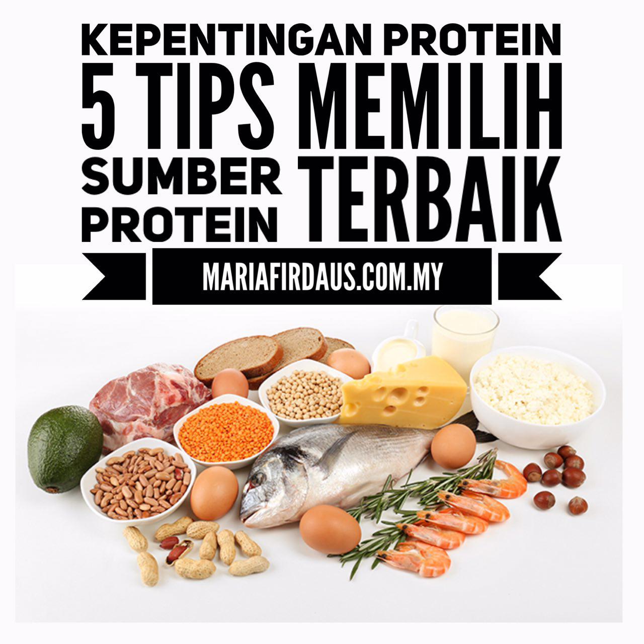 Kepentingan PROTEIN dan 5 Tips Memilih SUMBER PROTEIN Terbaik! | Maria ...