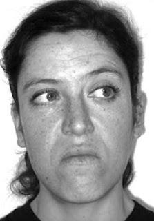 Nonverbal World - The World Without Words: Reading Body Language ...