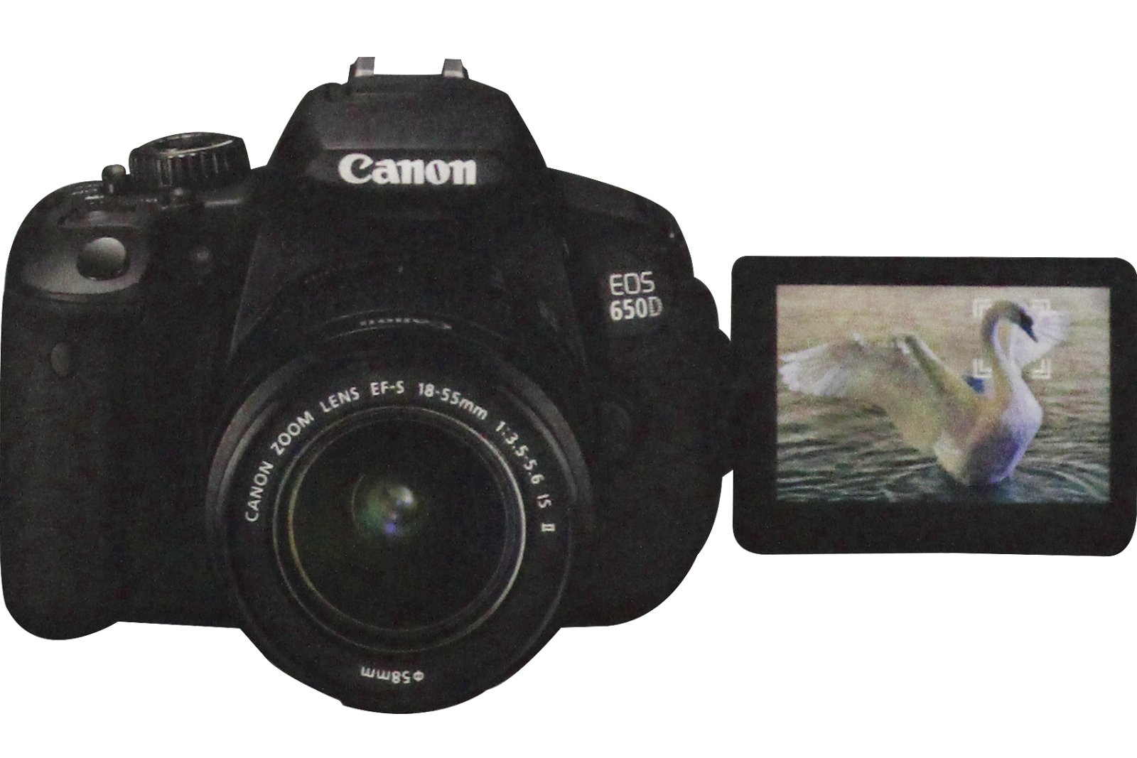 Canon EOS 650D: EOS 650D
