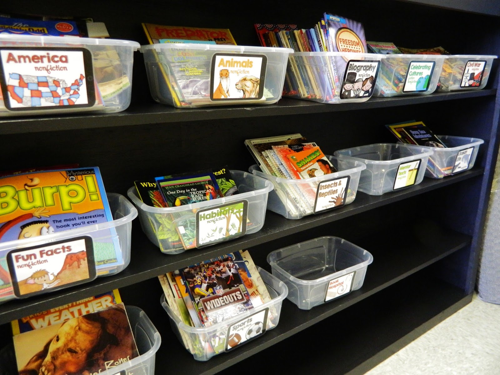 5th Grade Classroom Library