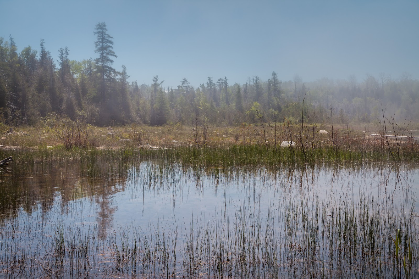 When Is The Best Time to Visit MacGregor Point Provincial Park ...
