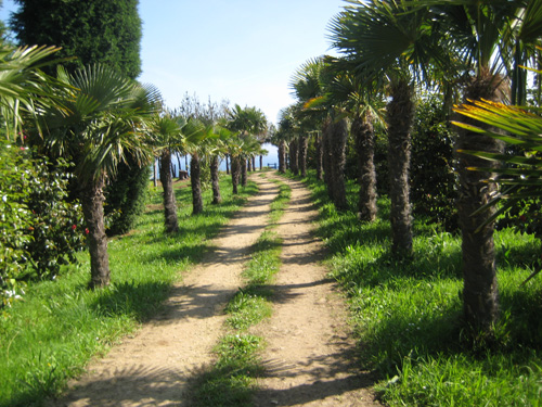 EN EL NOMBRE DE JESUS: PRESUMIR DE LA GRACIA DE DIOS