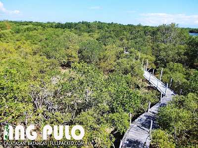 Forest Conservation: Calatagan Mangrove Forest Conservation Park
