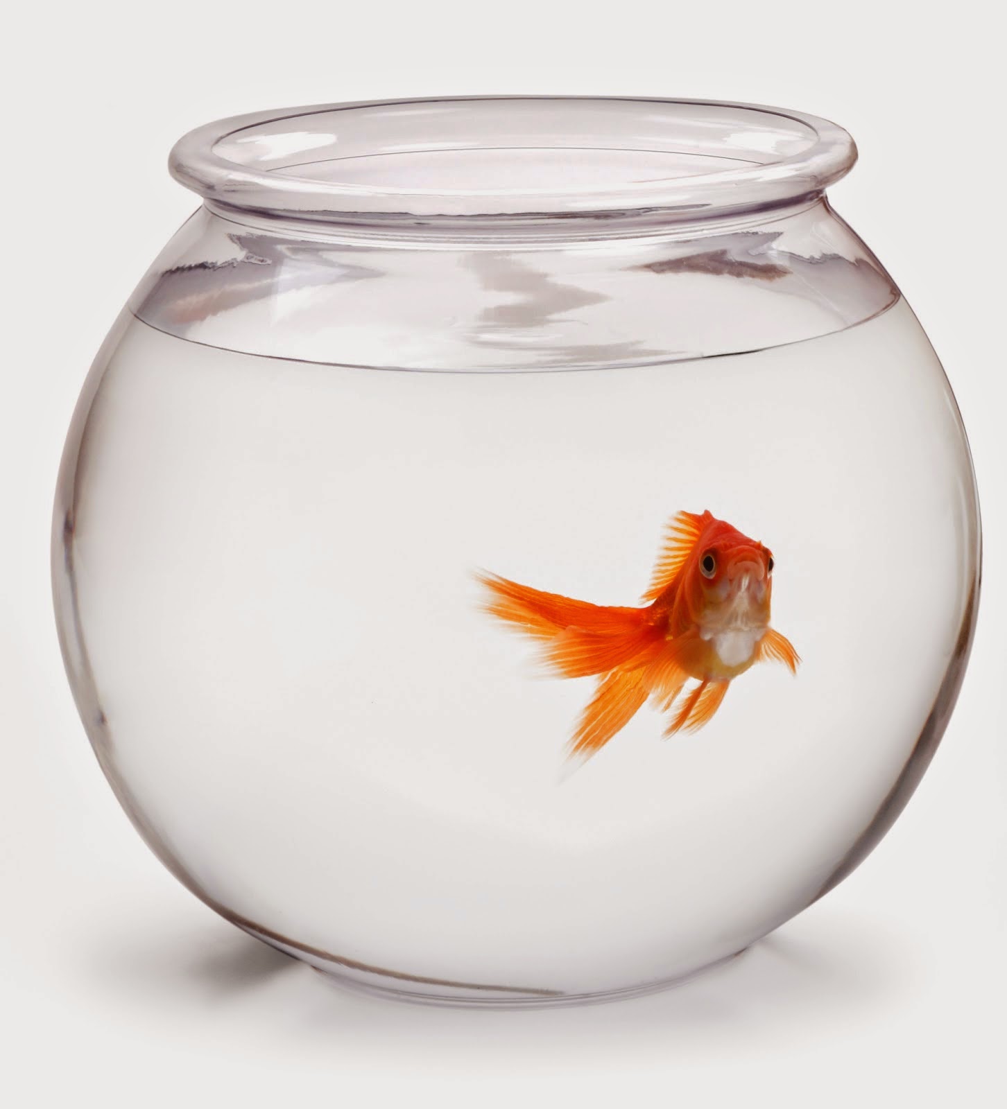 TEPBLL - Learner Reflection: The Fishbowl