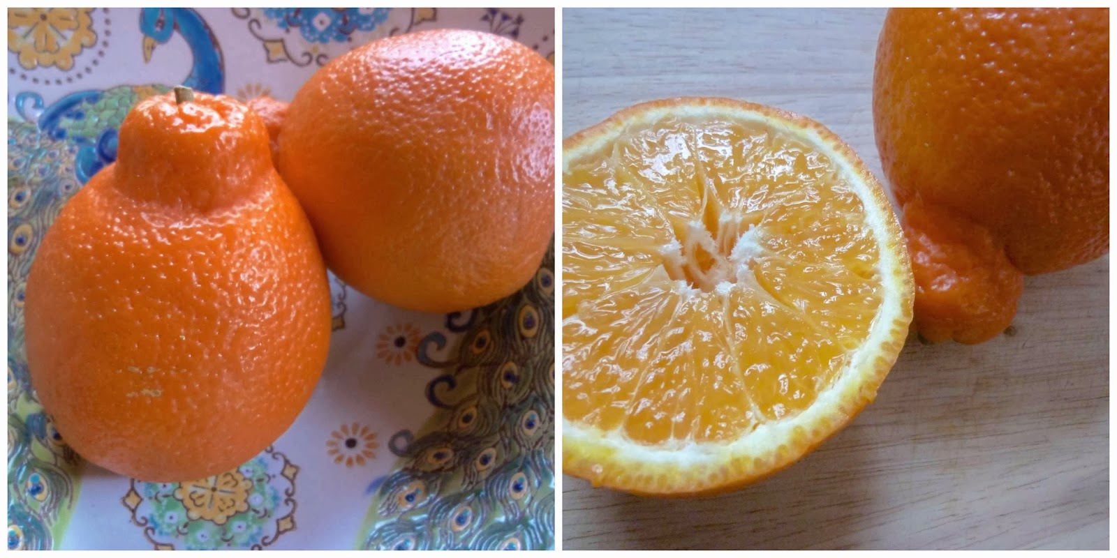 Minneola Cheesecake with Amaretti Crust – Diary of a Mad Hausfrau