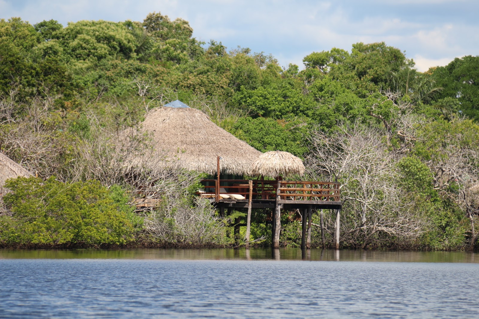 Juma Amazon Lodge: a primeira vez na Floresta Amazônica a gente nunca ...