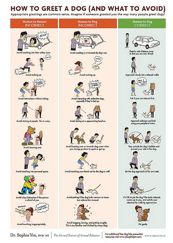 Mil recursos: TERAPIA CON PERROS