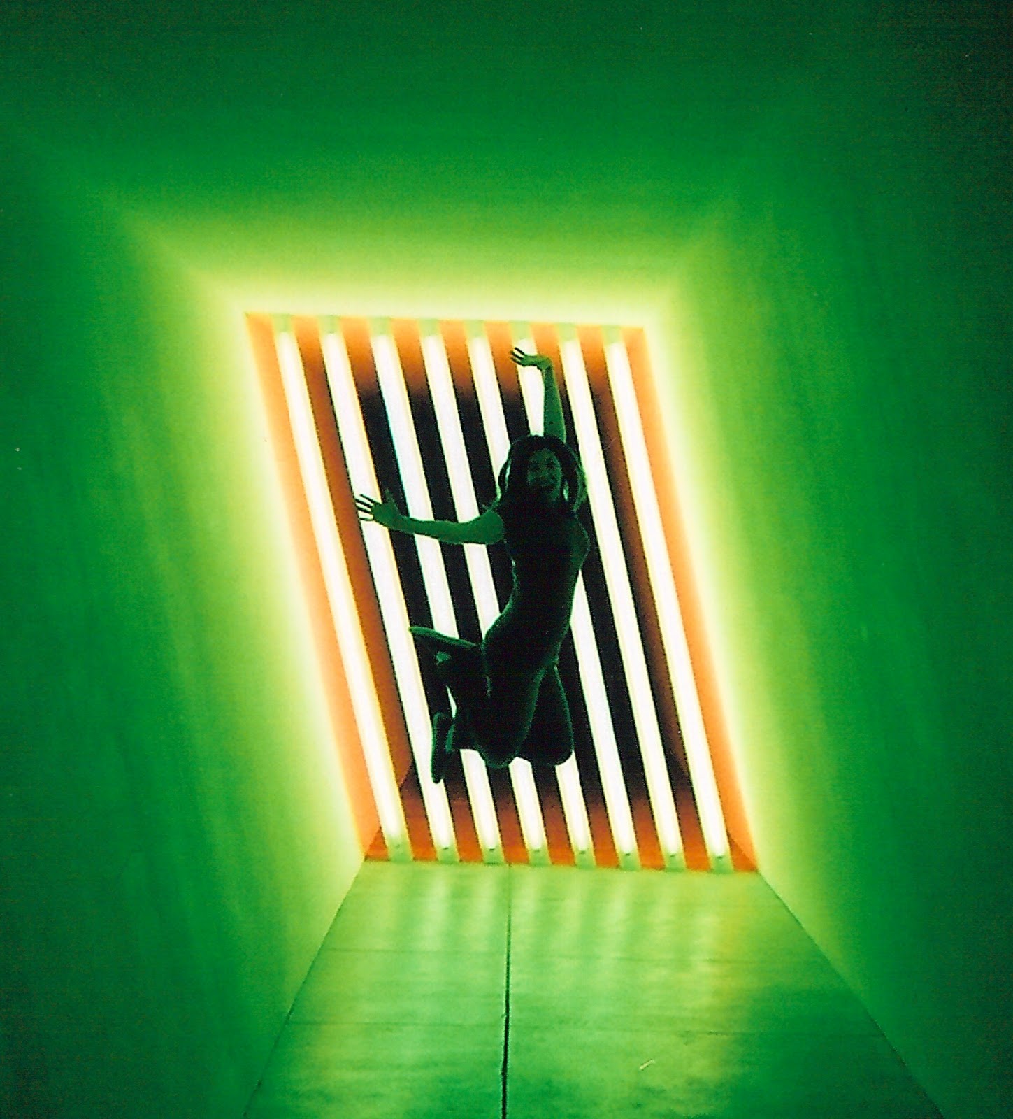 Jumping in Art Museums: Dan Flavin Jumping!