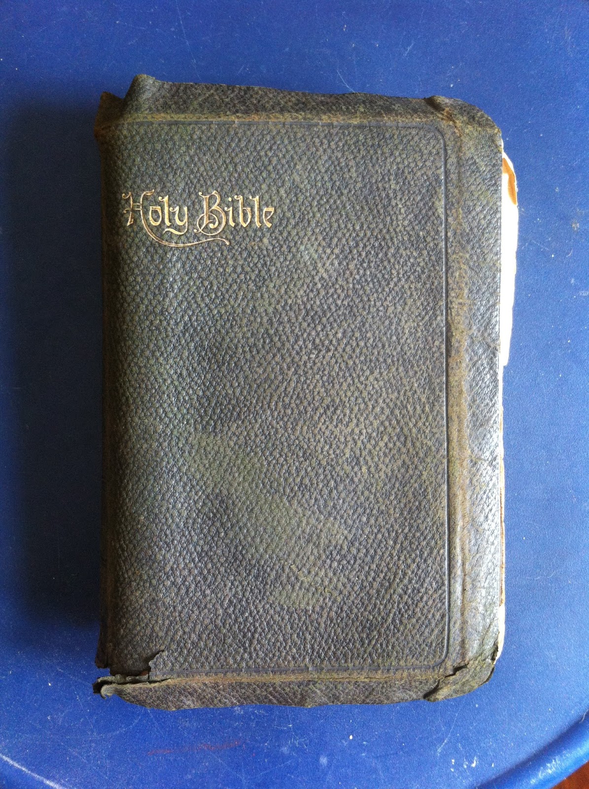 The Salt of America: Where Is Robert Eversole? – His Life, His Family ...