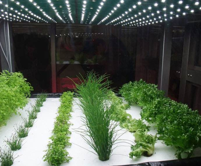 Plant factory, a modern life style