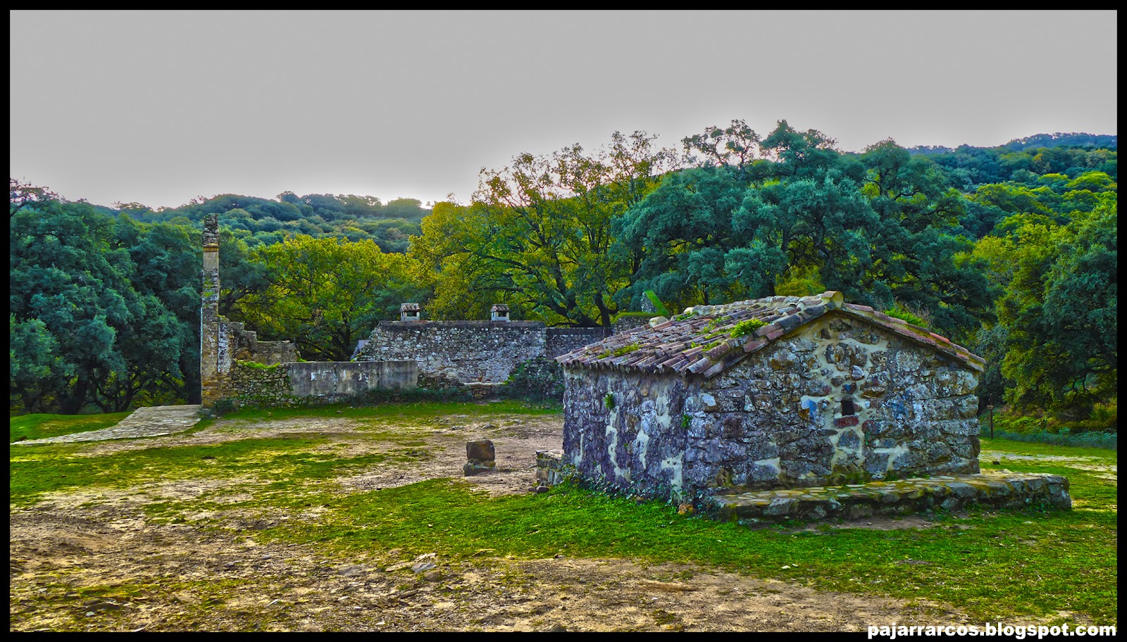 PajarrArcos: La Sauceda