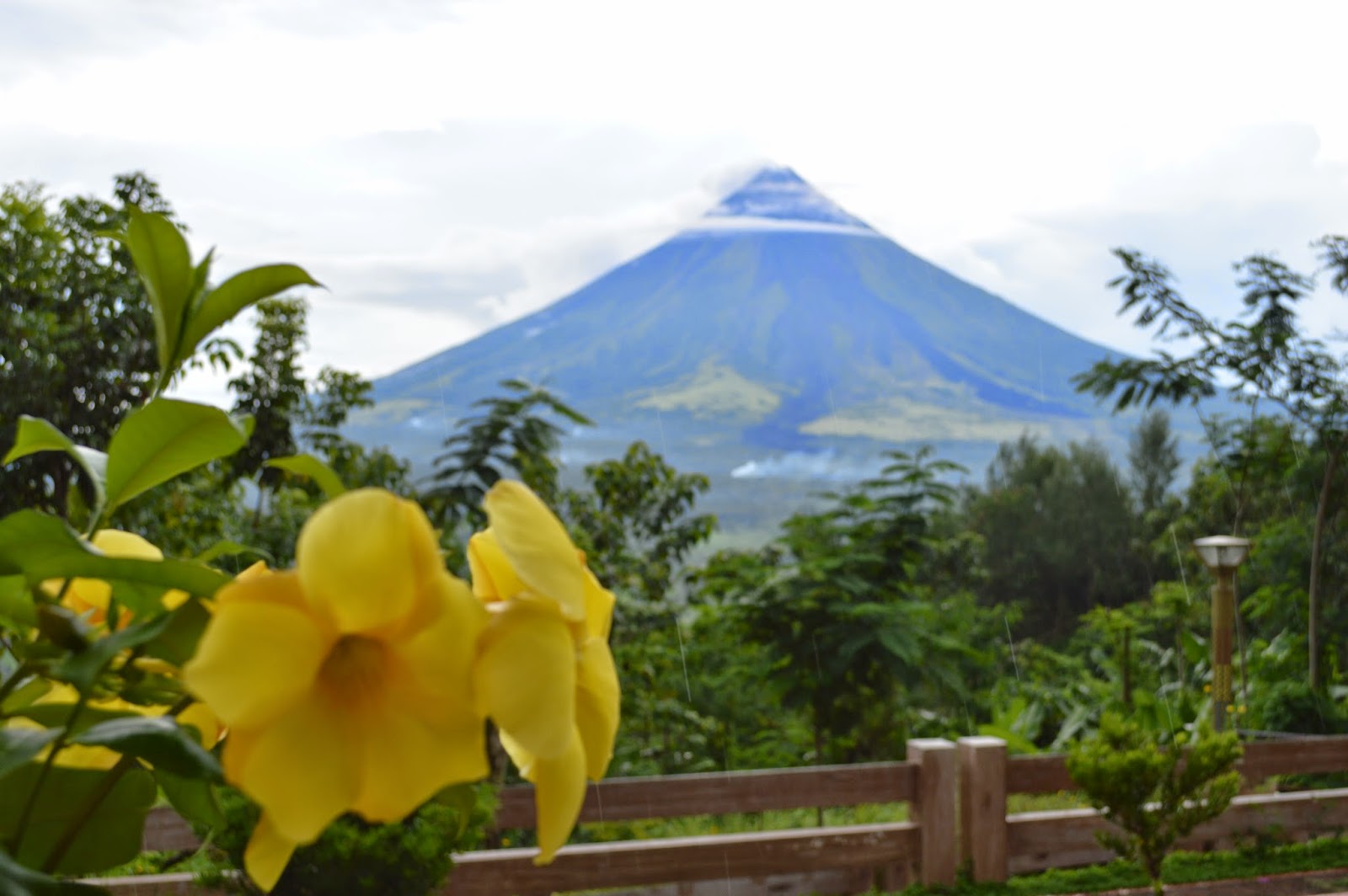 5 Reasons Why Mayon Volcano Rocks - Pinoy Bonsai