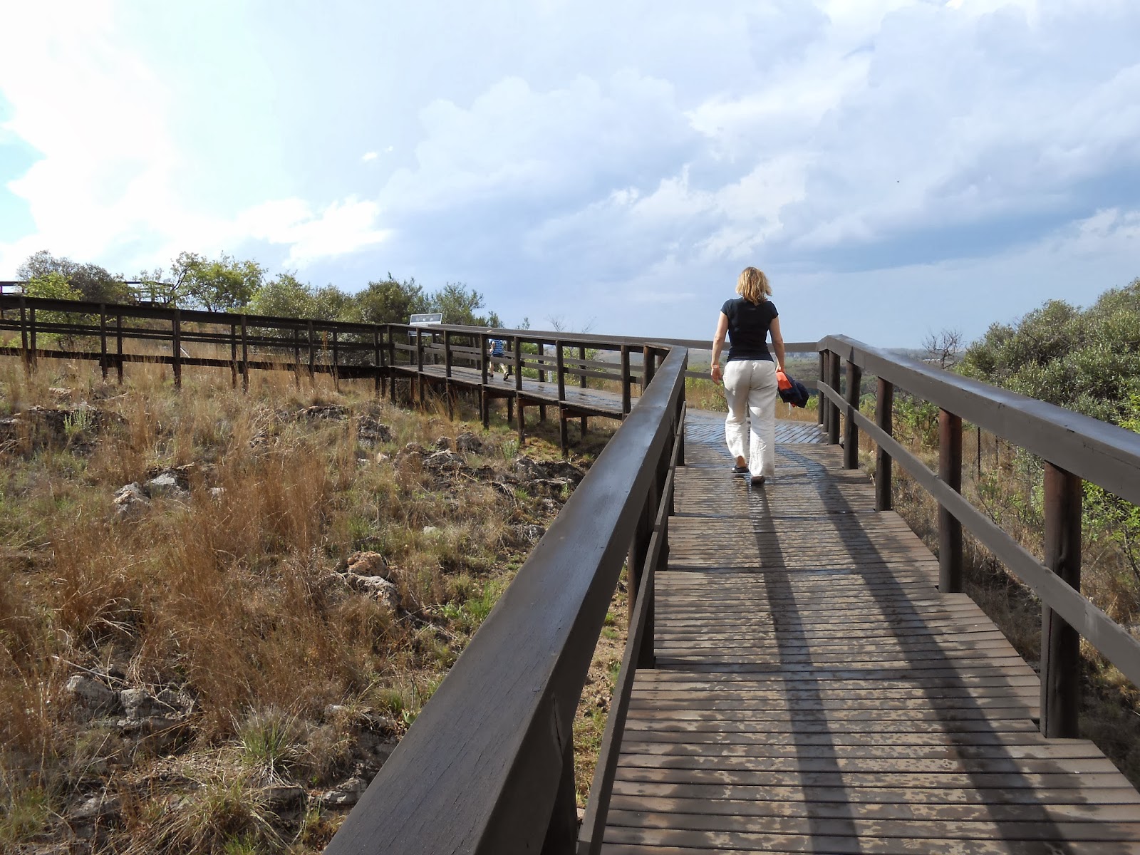 Well, It's Africa...: The Cradle of Humankind