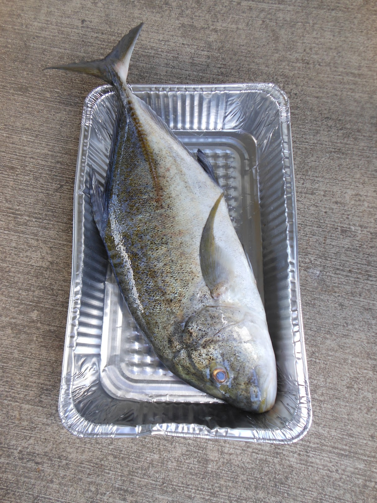 The Gourmet Diabetic: Papio Baked in Salt