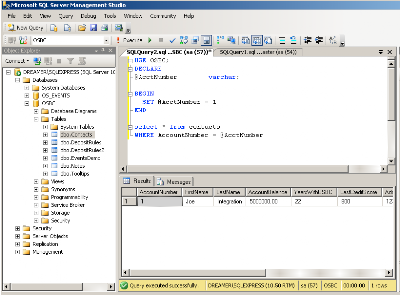 The Message: How to Declare Variables in MS-SQL Server Management Studio