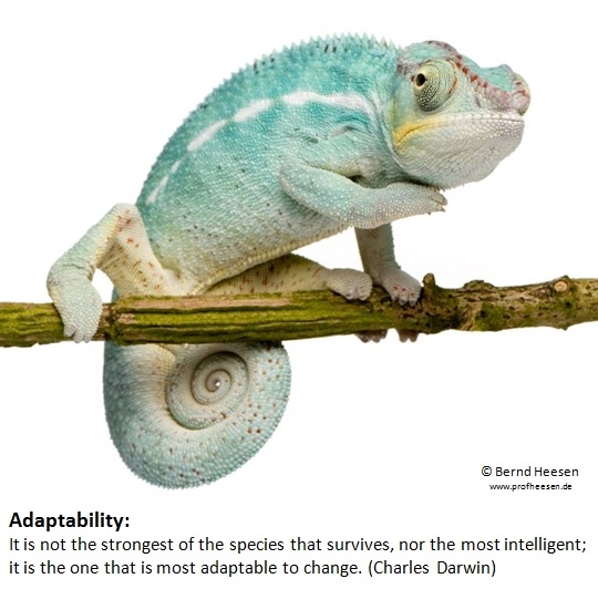 Not Buying Anything: Adaptability - Change Is Good