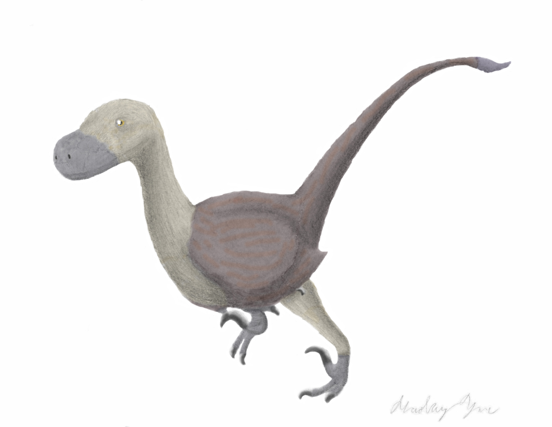 Sounder Art: Velociraptor mongoliensis