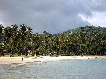 Do Brasil para o Mundo - Paraíso Tropical: Praia de Inema