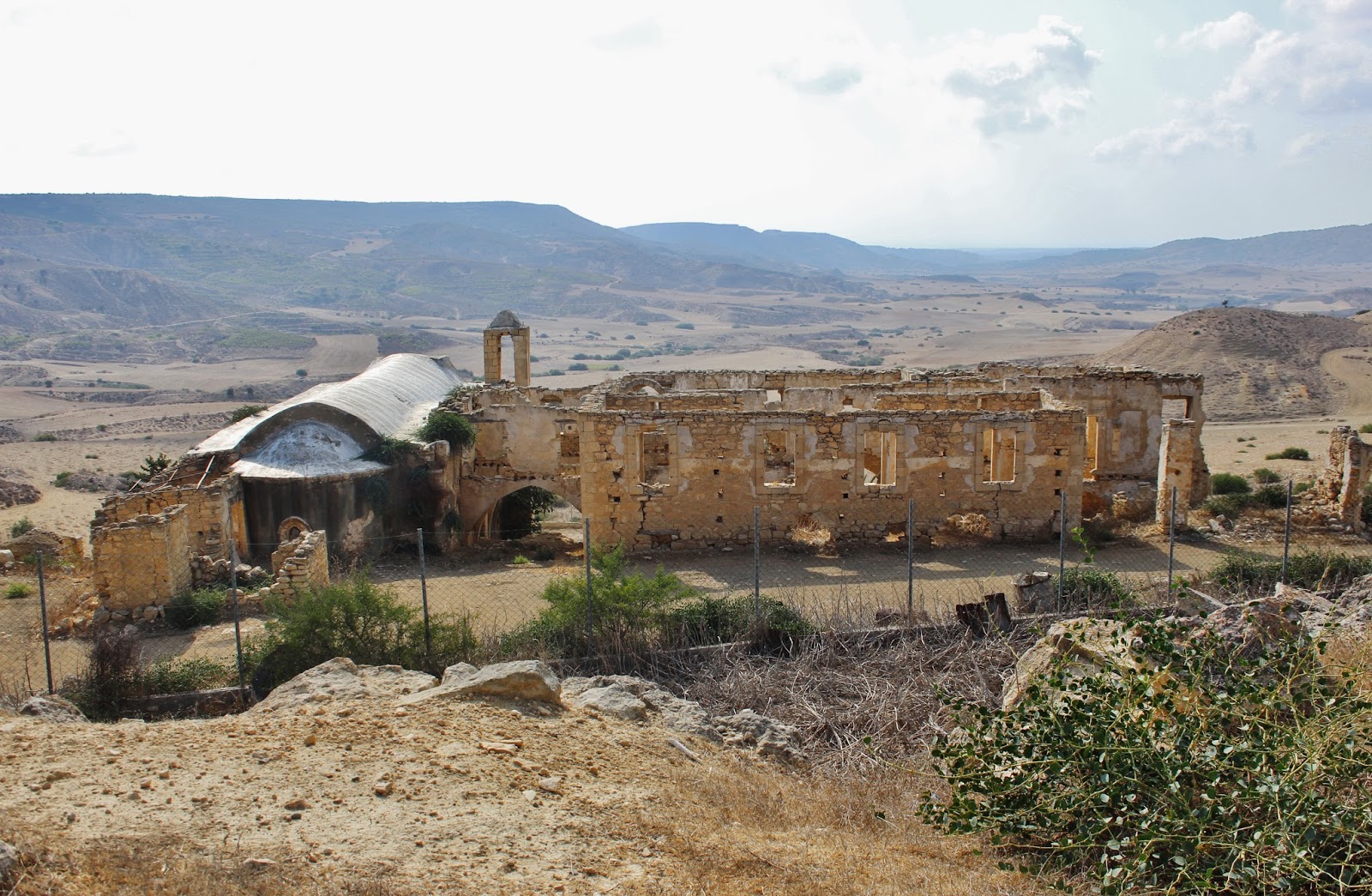 Biodiversity of Cyprus by NGO Protection of the Natural Heritage and ...