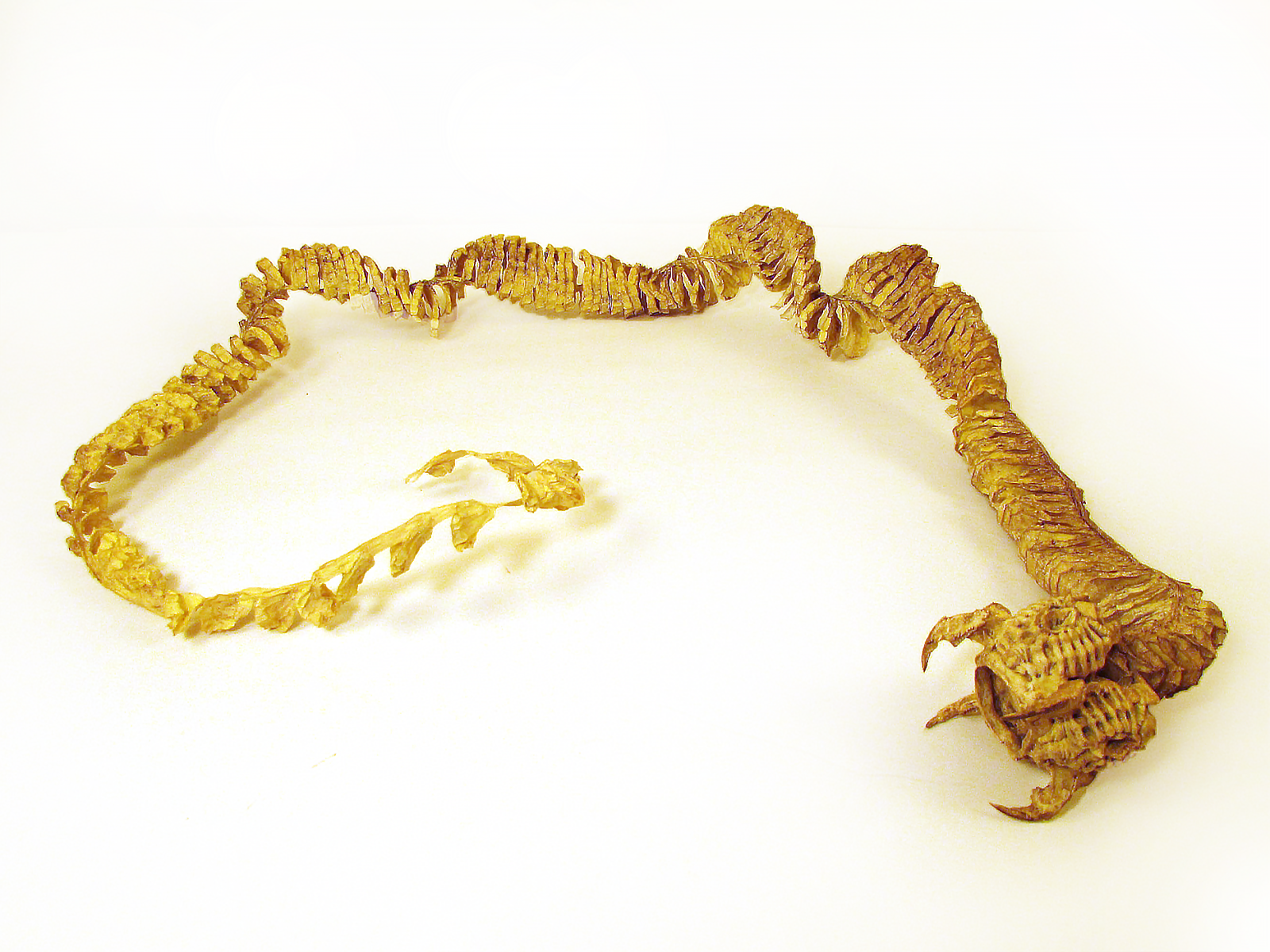 Propnomicon: It Bites