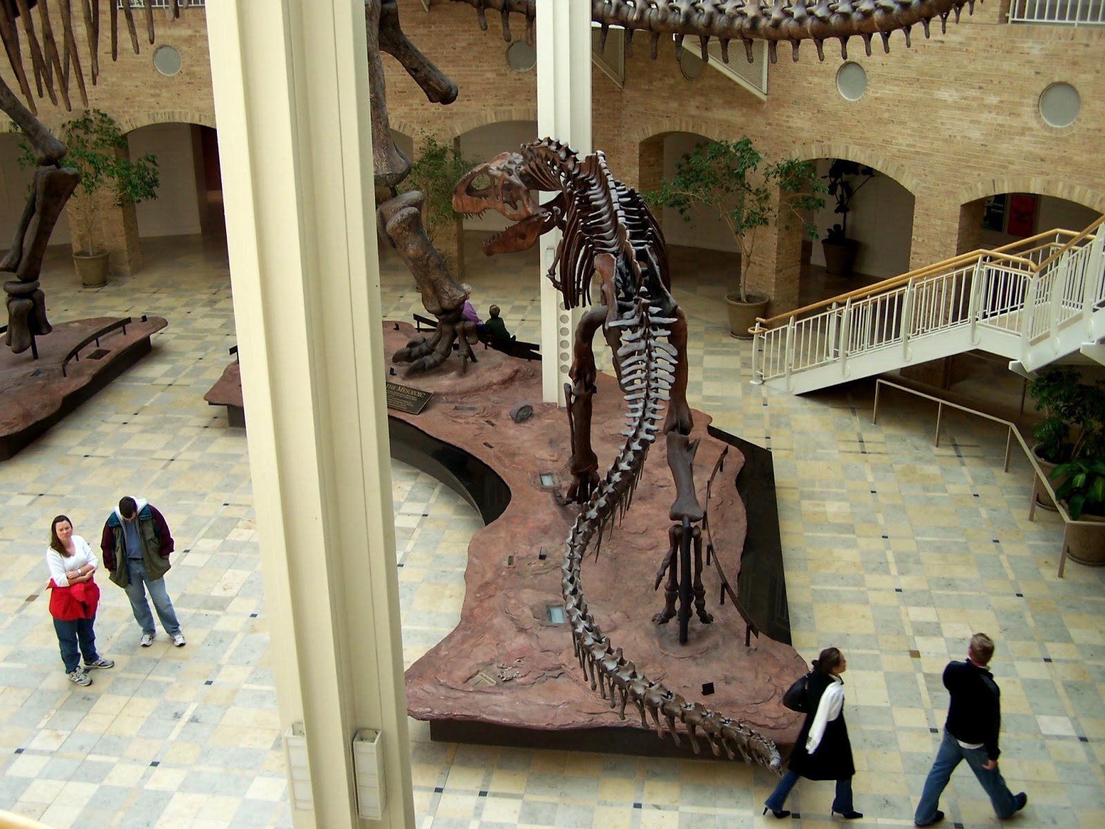 The Natural World: Museum Spotlight: Fernbank Museum of Natural History