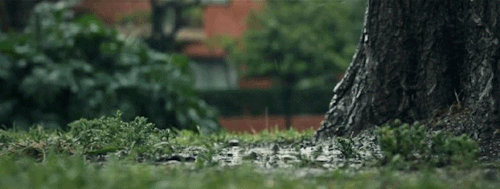 Nature Rain Animation (Animasi Hujan Alam) - Alif MH