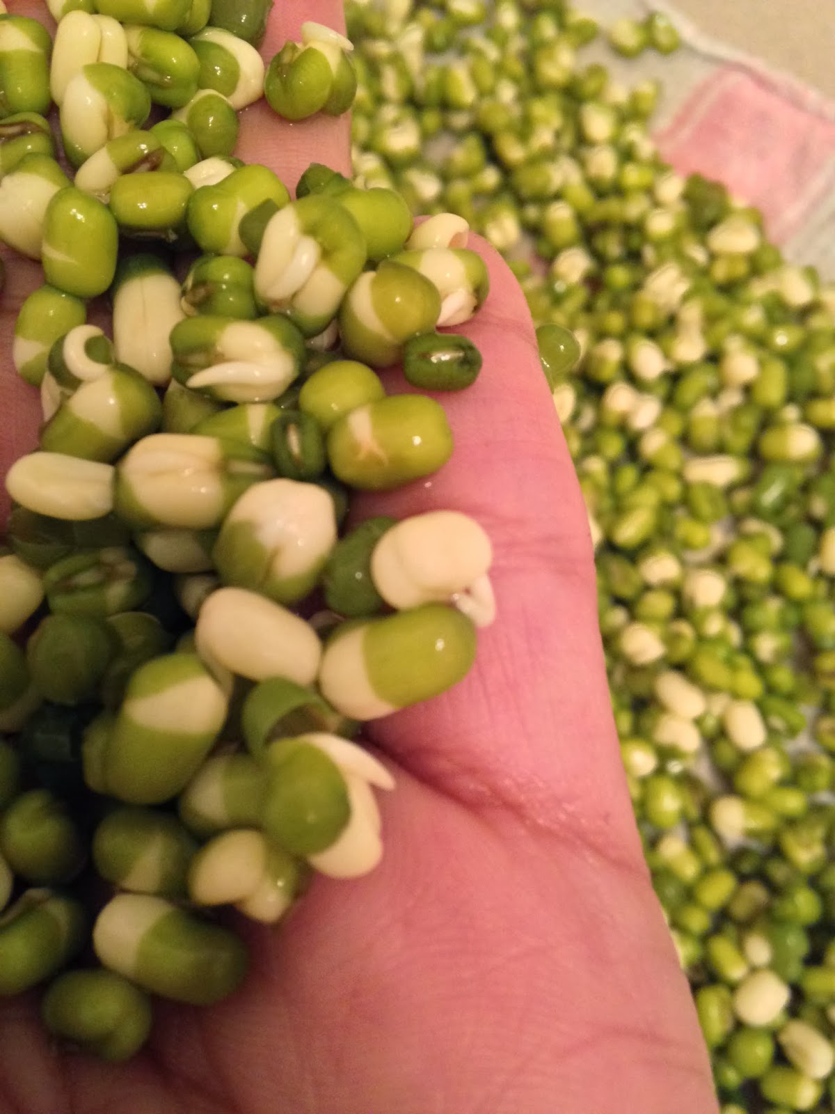 "Cooking Isn't Rocket science" : Vazha - Koombu , Cherupayar Thoran ...