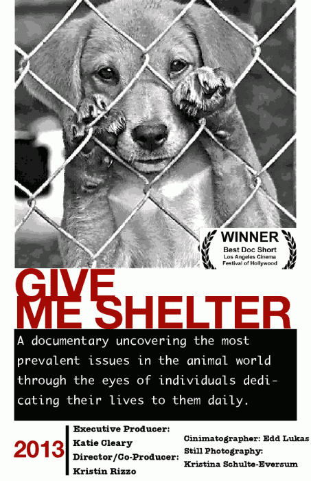 White Wolf : Animal Welfare documentary wins "Best Short Documentary ...