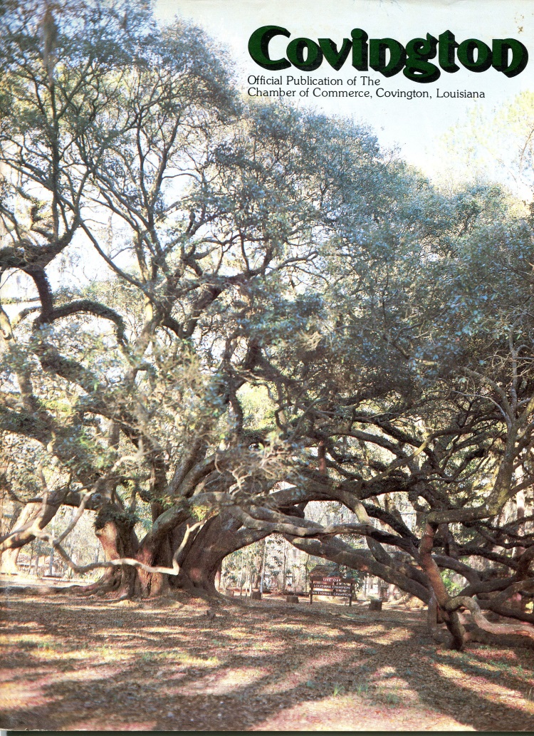 Tammany Family: Seven Sisters Oak - 1982 Cover Tree
