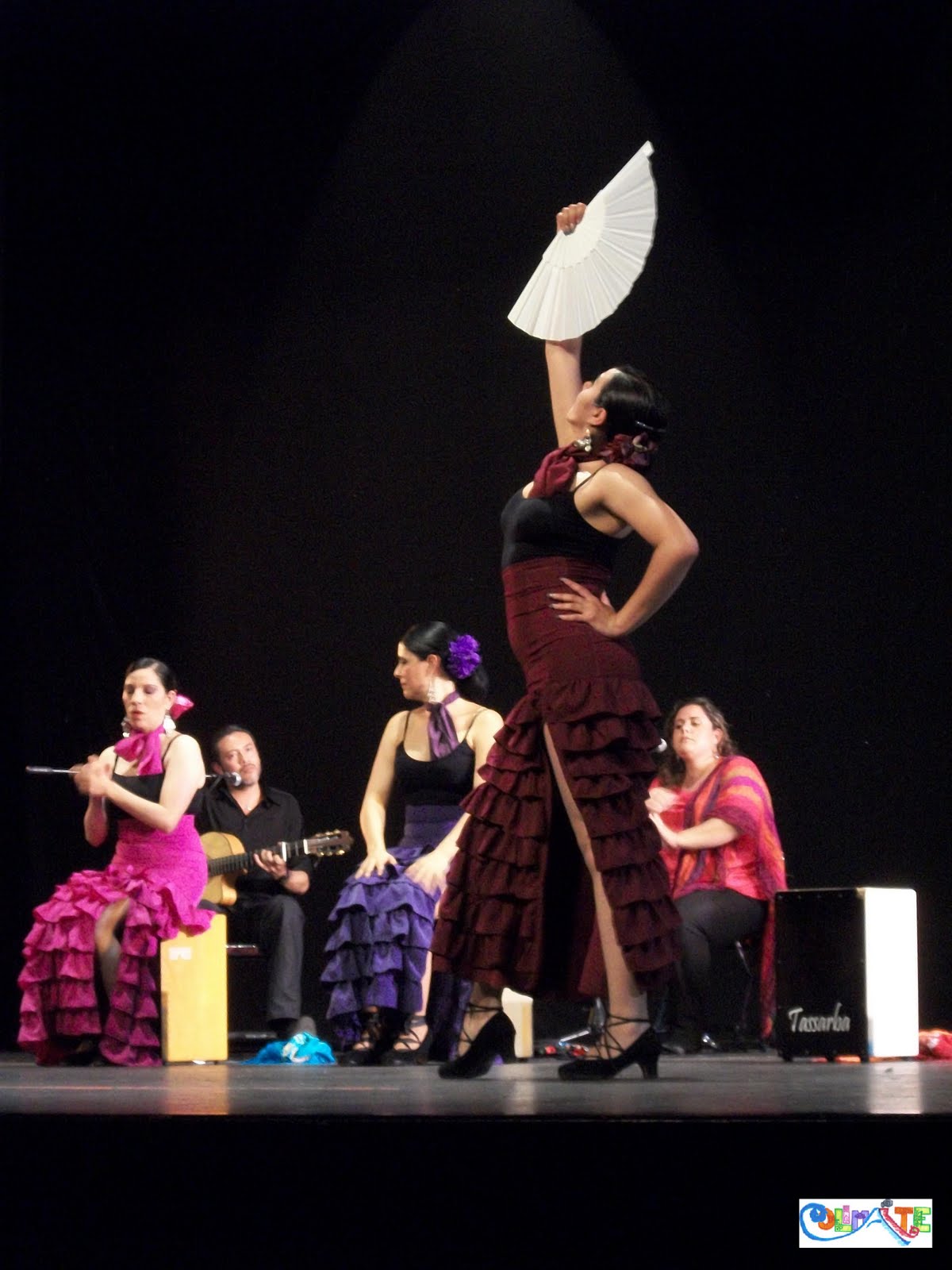 Colimarte: Grupo de Danza Flamenca Tassarba