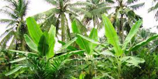 10 Legenda paling MENYERAMKAN di seluruh Dunia - Suka Fenomena