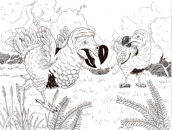 Jake LaGory- illustrator: Cryptozoology Coloring Book- The Dodo